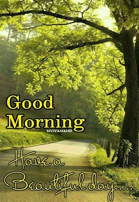 Good Morning Quotes With Nature Background