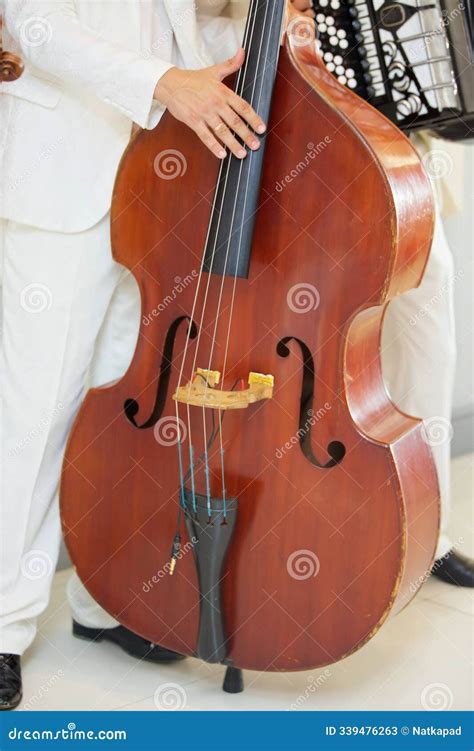 Stringed Musical Instrument Double Bass Stock Image Image Of Orchestral Wood 339476263