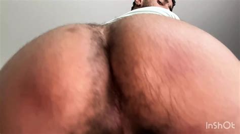 Волосатая Damien Custo xHamster