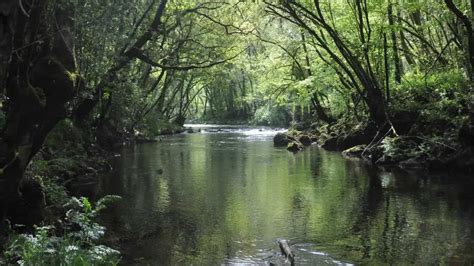 Inger Marie Gundersen One Youtube