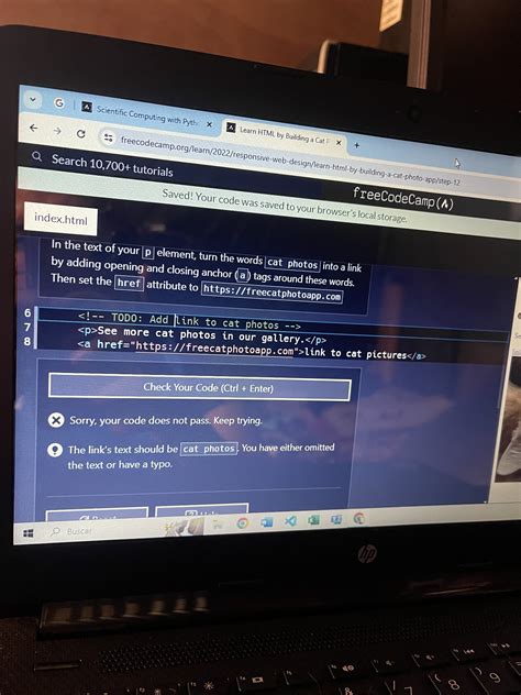 Help With HTML Exercise HTML CSS The FreeCodeCamp Forum