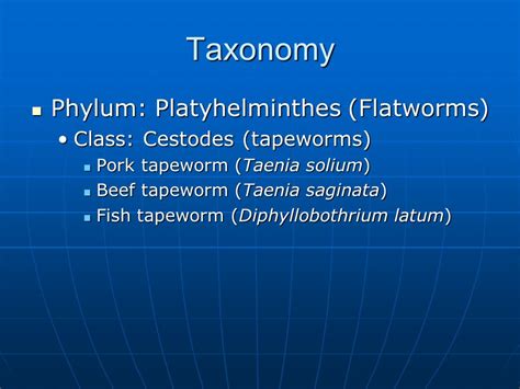 Helminths Ppt Video Online Download
