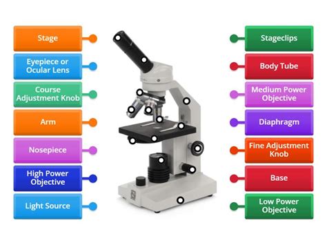 Label The Parts Of The Microscope Labelled Diagram