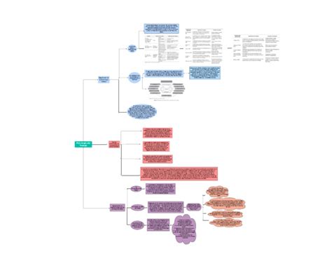Mapa Semántico Lineal Pdf Sicología Ciencia Cognitiva