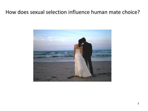 PPT How Does Sexual Selection Influence Human Mate Choice PowerPoint Presentation ID