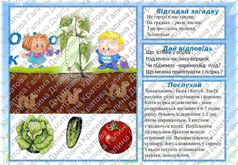 Дидактична гра « Цікавинки про овочі ознайомлення з природою старша група 1 клас