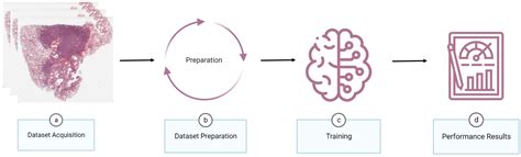 A Novel Convolutional Neural Network Algorithm For Histopathological Lung Cancer Detection