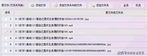 办公软件的按文件类型分发功能一键将拓展名相同的文件批量复制或移动到目标文件夹，轻松完成大量文件管理任务 高手 按钮 支持