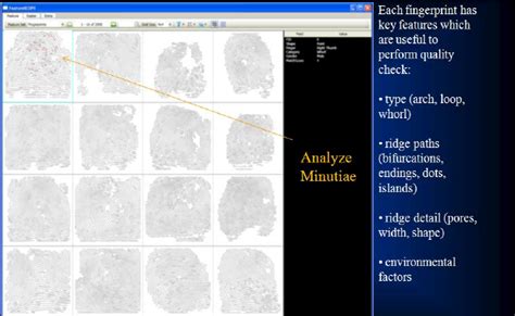 Minutiae Extraction Analysis Download Scientific Diagram