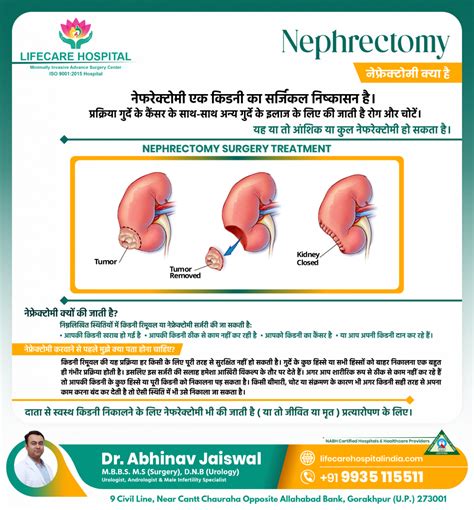 Post Nephrectomy Urine Output At Paul Boldt Blog