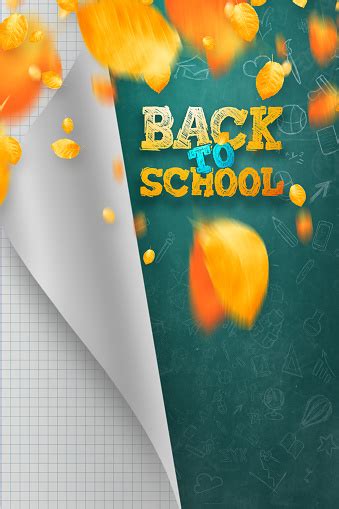 창조적 인 배경 비문 학교로 돌아가기 교육 요소 및 배경에 있는 텍스트 공간 전단지 A4 판매 포스터 할인 3d 일러스트레이션