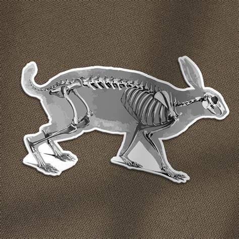 Rabbit X Ray Vinyl Sticker Etsy Rabbit X Ray Vinyl Sticker Etsy