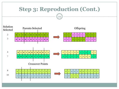 Evolutionary Algorithms And Their Applications In Civil Engineering PPT