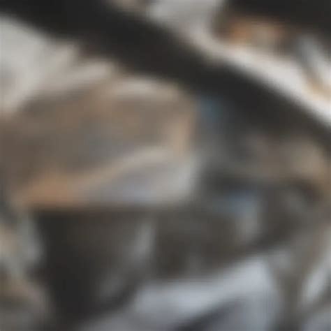 Exploring The Zeiss Confocal Microscope Principles And Innovations