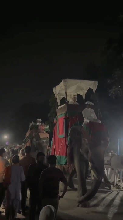 Kashi Naresh Anant Narayan Singh Ramnagarfort King Shorts Youtube