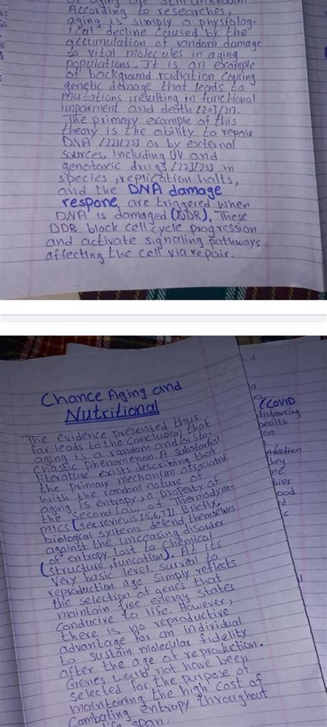 Assignment Work