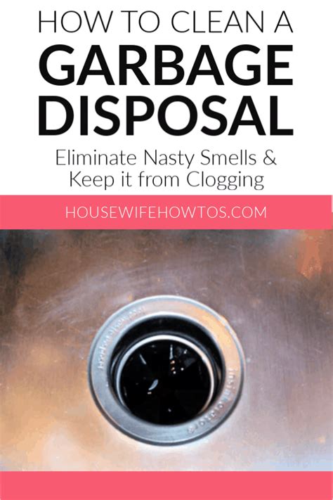 How to Clean Your Garbage Disposal | Garbage disposal, Garbage disposal cleaning, Garbage ...