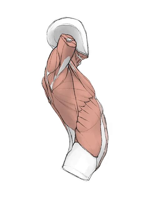 小叶子真可愛的个人空间哔哩哔哩bilibili 花瓣网