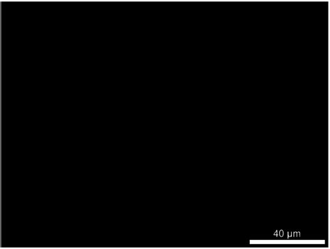 Carbon Quantum Dots And Preparation Method Thereof Eureka Patsnap
