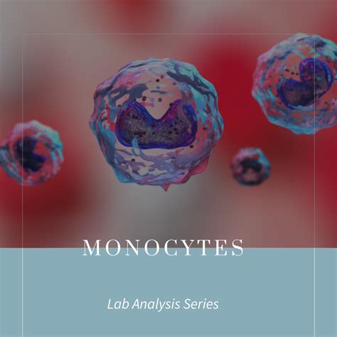 Monocytes What Highs And Lows Mean In Pregnancy Sarah Thompson Functional Maternity