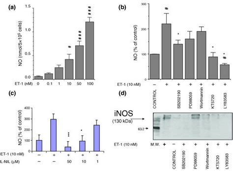 Effect Of Endothelin 1 Et 1 On Nitric Oxide No Release And Download Scientific Diagram