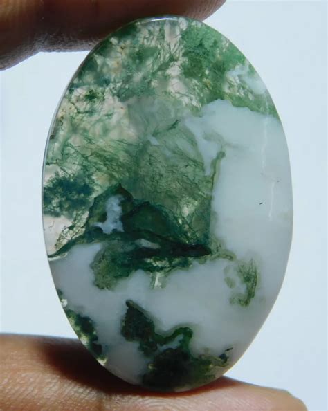 Tree Agate Properties Formation Uses Geology Science