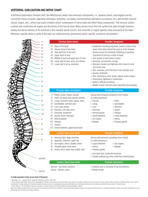 Fillable Online Vertebral Subluxation And Nerve Chart Fax Email Print
