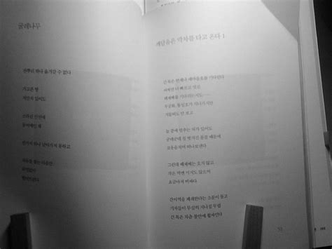 밤과 꿈 권혜진 네이버 블로그