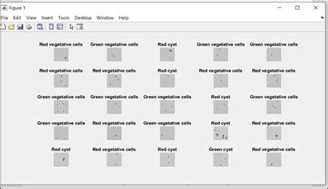 The Classification Trainingsubplot 55i Download Scientific Diagram