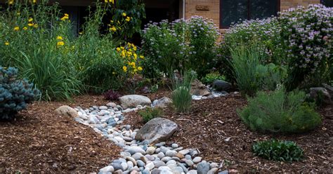 Xeriscape Landscaping Ideas 11 Drought Resistant Landscaping Ideas For