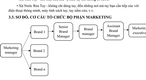CHIẾN LƯỢC MARKETING MIX NGÀNH HÀNG NƯỚC RỬA TAY TRƯỜNG HỢP CÔNG TY UNILEVER