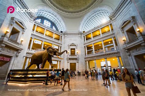 20 Best Virtual Museum Tours 2026 Free And Online