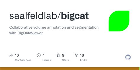 Github Saalfeldlabbigcat Collaborative Volume Annotation And Segmentation With Bigdataviewer