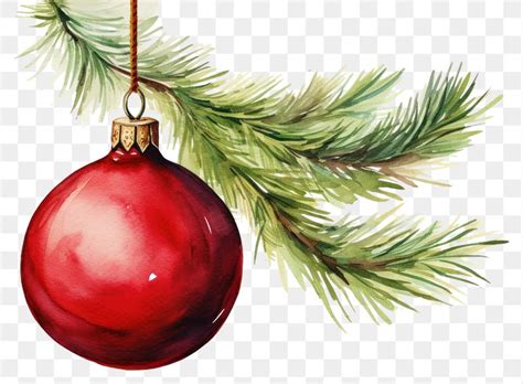 PNG Christmas Tree Branch And Free PNG Rawpixel