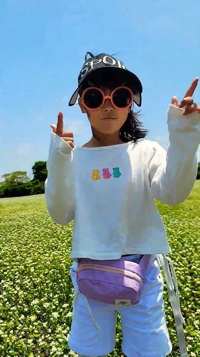 포켓몬 ㅋ 고양이 로사 Youtube