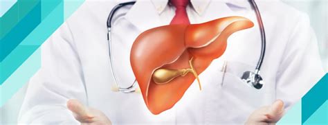 What Is Gamma Glutamyl Transferase Ggt