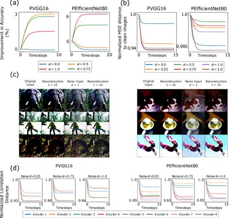 Performance Under Gaussian Noise And Projection Towards The Learned