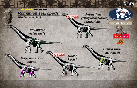 War Sauropod