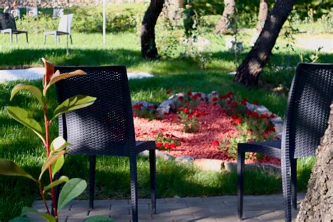 A Saracena Cs Ci Si Cura Nei Giardini Delle Meraviglie Un Unicum