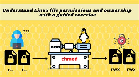 Creating Directories Users Groups And Setting Permissions In Linux An Easy Guide By Steven