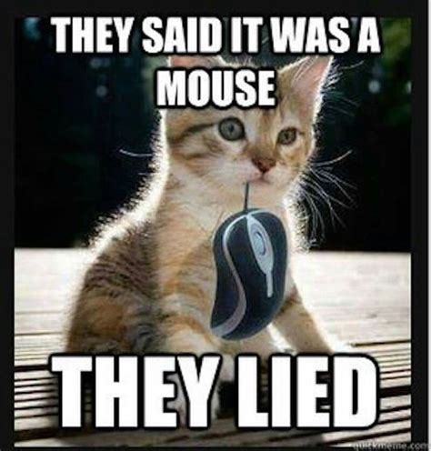 28 Very Funny Mouse Meme Pictures That Will Make You Laugh Funny