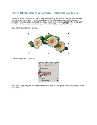 Convert Bitmap Image To Vector Image PDF
