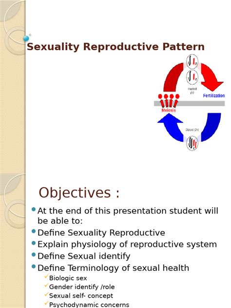 Sexual Reproductive Pattern Pdf Menstrual Cycle Homosexuality