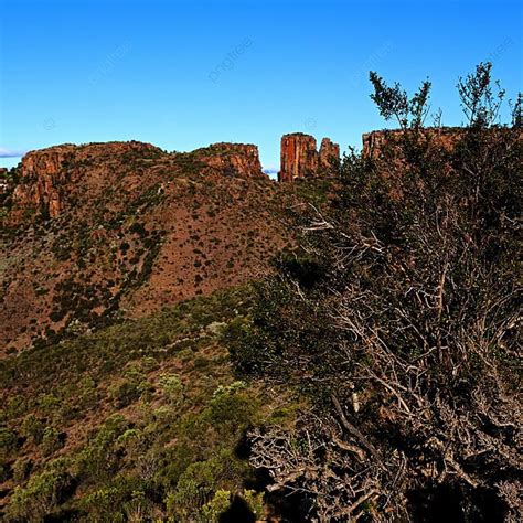 흐림 사진 배경 및 무료 다운로드를위한 그림 Pngtree
