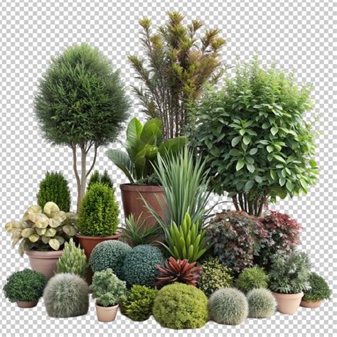 Page 5 Midwest Shrub Varieties Psd High Quality Free Psd Templates