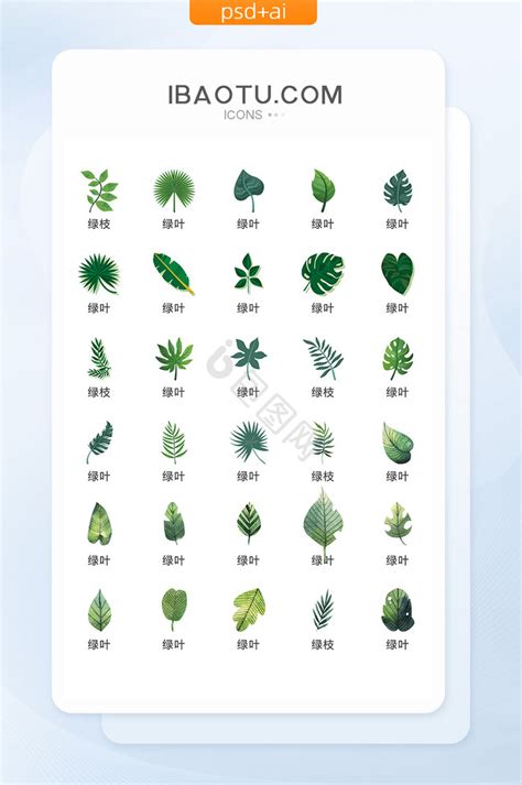 树叶矢量图片 树叶矢量素材免费下载 包图网