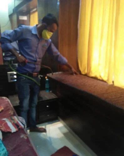 Bed Bugs Pest Control Services In Thane Id 2851114950697