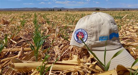 Prácticas De Conservación Del Suelo Suman A La Preservación De Acuíferos Cimmyt