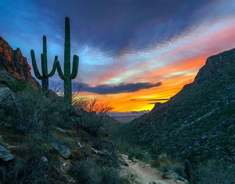 Sunrise Hike Pinnacle Peak Sonoran Desert Scottsdale Arizona Usa Artofit