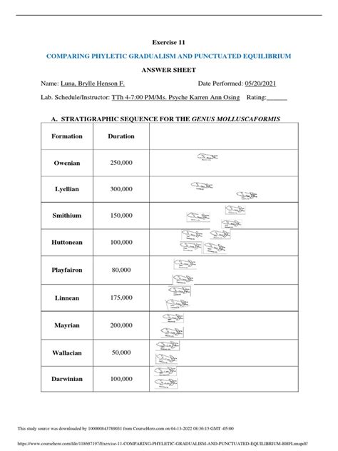 Exercise 11 Comparing Phyletic Gradualism And Punctuated Equilibrium Bhfluna Pdf Pdf Species
